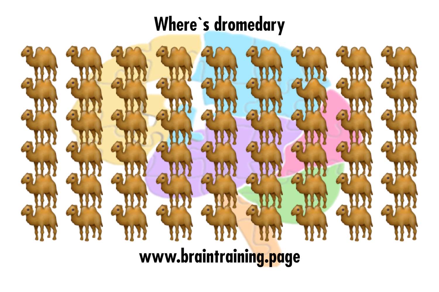 Find type exercises | Brain Training